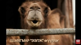 ᠡᠭᠡᠯᠵᠢ-ᠱ ∙ ᠮᠢᠭᠮᠠᠷ - ᠥᠭᠦᠯᠡᠯᠭᠡ Ш.Мягмар Ээлж өгүүллэг сонсох oguulleg ...